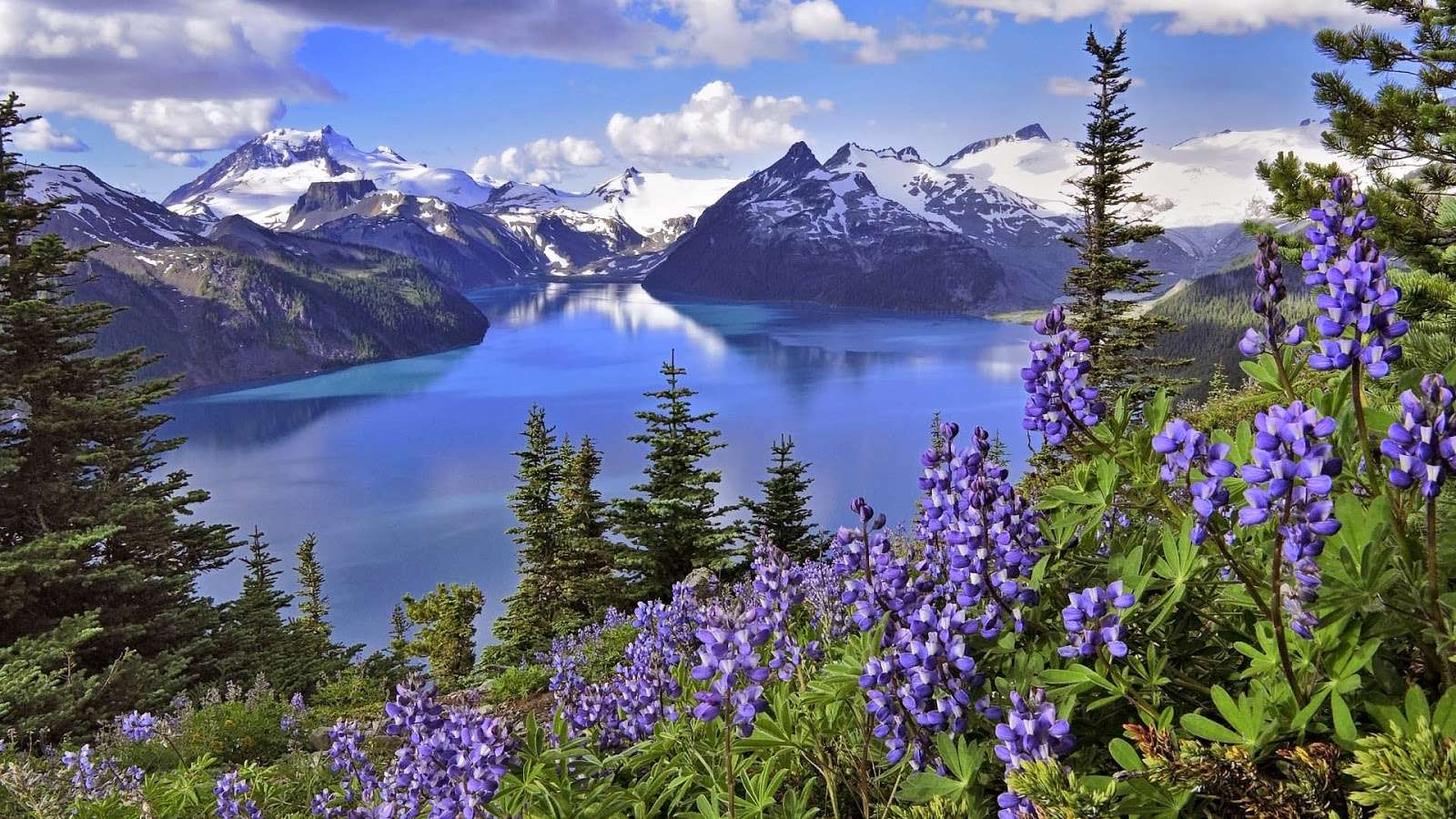 Қазақстанның табиғат жағдайы мен табиғат ресурстары - Stud.baribar.kz